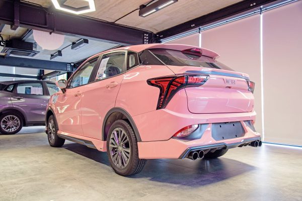 Neta Plus Sakura Pink - SEED SPORT