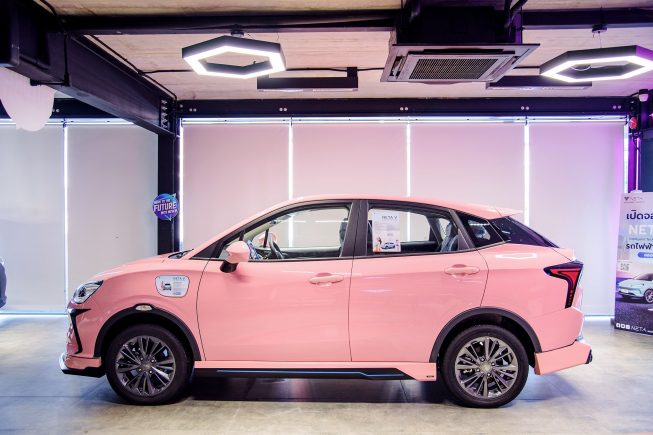 Neta Plus Sakura Pink - SEED SPORT